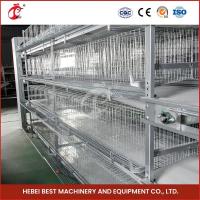China Anti Corrosion Chicken Battery Cage 160 Birds Capacity 100khg Weight Rose for sale