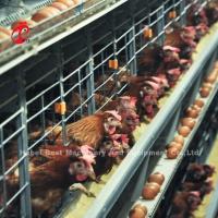 China 200 Birds Automatic Chicken Battery Cage For Sale Egg Layer Cage Farm Ada for sale