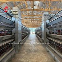 China 120 Birds Capacity Poultry Battery Cages Automatic A Or H Layer Farm Doris for sale