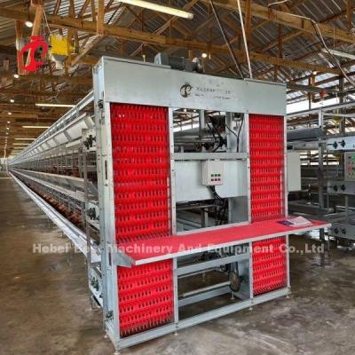 China A Type And H Type Automatic Drinking System For Layers Poultry Layer Cage Adela for sale
