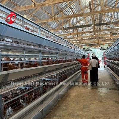 China 3/4/5/6/7/8 Tiers Poultry Layer Cage System with Automatic Feeder Adela for sale