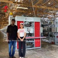 China Imported Galvanized Cage System Of Poultry Rearing For Layer H Type Doris for sale