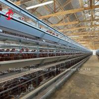 China 120 Birds Capacity Poultry Battery Cages Automatic A Or H Layer Farm Doris for sale