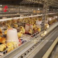 China Manual Cleaning Automatic Chick Brooder Cage H Type Metal For Chickens Adela for sale