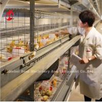 China Cheap Type Hot Dip Layer Cages Cameroon Chicken Farm  Poultry Layer Cages For Sell Adela for sale