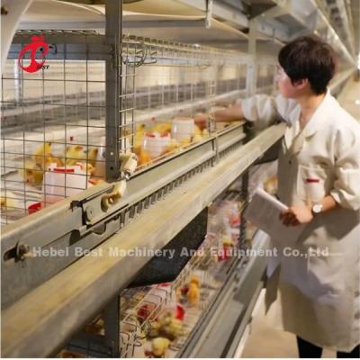 China Cheap Type Hot Dip Layer Cages Cameroon Chicken Farm  Poultry Layer Cages For Sell Adela for sale