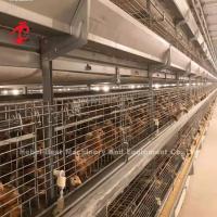 China Q235 Steel Stronger Wire Broiler Cage 1.5m By 2.2m By 1.75m Adela for sale