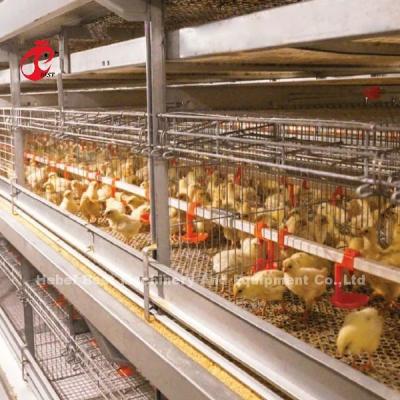China Cage Wire Diameter 2.8mm-3.5mm Layer Farming Cage System With Automatic Drinking System Adela for sale