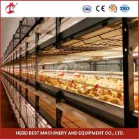 China Automatic 4 Tiers H Type Broiler Chicken Cage For Chicken Farm Ada for sale