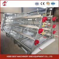China Automatic breeding Automatic Broiler Chicken Cage Rose for sale