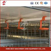 China Automatic breeding Automatic Broiler Chicken Cage Rose for sale