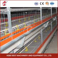 China 96-128 Chickens Broiler Chicken Cage Fully Automatic Mia for sale