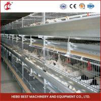 China Hot Galvanized Broiler Transport Cage Silver Color Durable Reliable Mia for sale