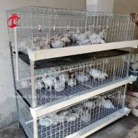 China A And H Type Broiler Battery Chicken Cage For 45 Days Broilers Emily for sale