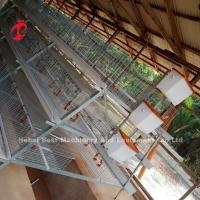 China 3 Or 4 Tier Chick Rearing Cage H Belt Manual Cleaning System 2x2x1.6meters Doris for sale