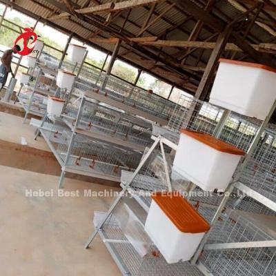 China Galvanized Layers Chicken Cages Capacity 96/120/128/160/200 Equipment Doris for sale