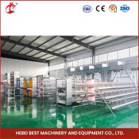 China Hot Deep Galvanized Brooder Cage For Chicks Sustainable Poultry Production Star for sale