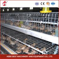 China Hot Dipped Galvanized Chick Brooder Cage Automatic Ventilation Iris for sale