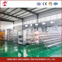 China Efficient Automatic Layer Battery Cage System 2.2m X 2.4m X 1.65m Durable Construction Star for sale