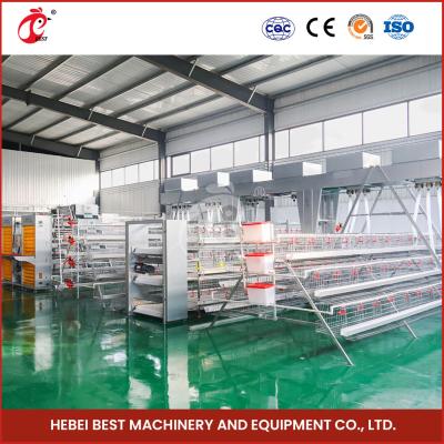 China Efficient Automatic Layer Battery Cage System 2.2m X 2.4m X 1.65m Durable Construction Star for sale