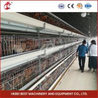 China 12 Cells A Type Broiler Chicken Cage With 3 Tiers Fast Shipping Mia for sale