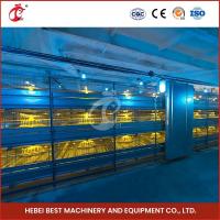 China Space Saving Automatic Broiler Cage System For 120-200 Chickens Rose for sale