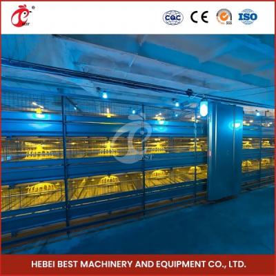 China Space Saving Automatic Broiler Cage System For 120-200 Chickens Rose for sale