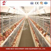 China Space Saving Automatic Broiler Cage System For 120-200 Chickens Rose for sale