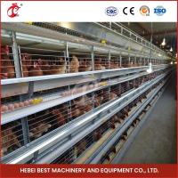 China Layer Ventilation Battery Cage System And Chicken Cage With Conveyor Belt Combination Ada for sale