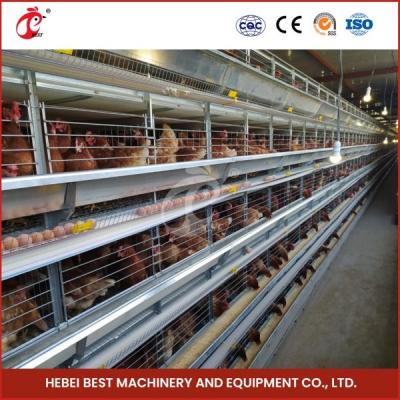 China Layer Ventilation Battery Cage System And Chicken Cage With Conveyor Belt Combination Ada for sale