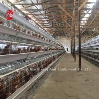 China 3 Tiers 40cm Cell Height Layer Battery Cage System For Improved Layer Productivity Iris for sale