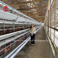 China Poultry Cage System H/A Type With Automatic Drinkers Feeders Installation For Tanzania Uganda Ghana Kenya Sandy for sale