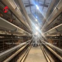 China Reliable Chicken Battery Poultry Layer Cage 7 Tiers Iris for sale
