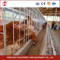 China 4-6 Birds Poultry Layer Cage with Hot Dip Galvanized Finish Star for sale