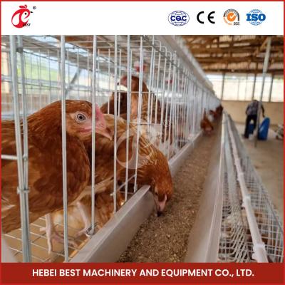 China 200 Birds Capacity Commercial Farming Chicken Cages With Provided Video Installation Star for sale