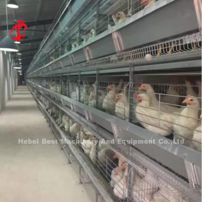 China New Generation Poultry Battery Cage System With H Type Automatic Design Sandy for sale
