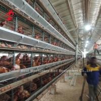 China 5 Tier Poultry Farming Cage System With Automatic Egg Collection Machine Galvanized Iris for sale
