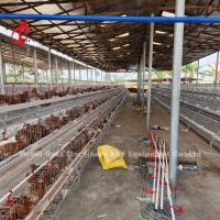 China 2.2m By 2.4m By 1.95m Layer Battery Cage System 4 Tier 160 Capacity Sandy for sale