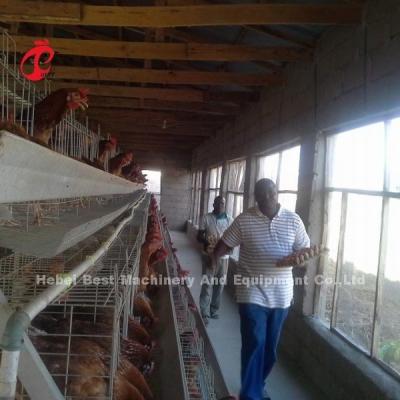 China Semi Automatic H Type Battery Cage System For Layers Sandy for sale
