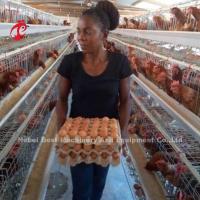 China 4 Birds/Cell Hot Dip Galvanized Battery Cage System for Layer Farm Star for sale