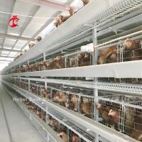 China A Or H Type Automatic And Manual Poultry Farming Cage System Design For Chicken Poultry Farming Sandy for sale