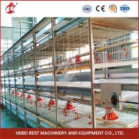 China Maximize Rearing Efficiency With Chicken Husbandry Cage System Cage Type A Rose for sale