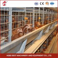 China Imported Galvanized Cage System Automatic Feeding Hopper Electro Galvanized For Nipple Drinkers Rose for sale