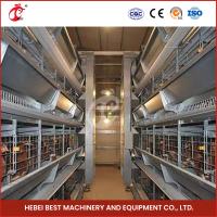 China Retails Poultry Farming Cage System with Automatic Drinking System and Nipple Drinker Mia for sale