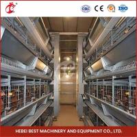 China Plastic or Metal Feeder Trough Poultry Farming Cage System for High Rearing Efficiency Mia for sale