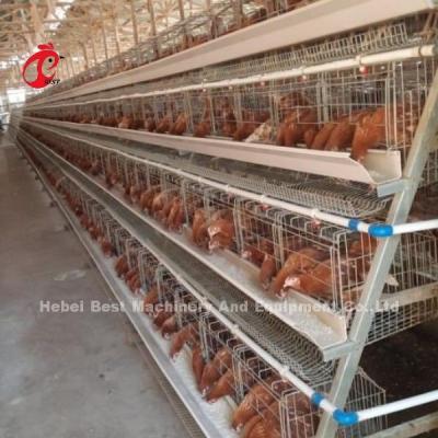 China Automatic Electric Control Poultry Layer Cage System 4 Tier Farm Design Ada for sale