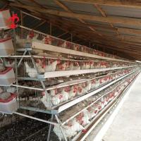 China High Rearing Efficiency For Chicken Farm Poultry Farming Cage System Sandy for sale