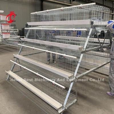 China A And H Chicken Cage Equipment For Raising Chickens Farm Doris for sale