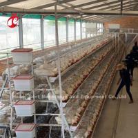 China 8 Tiers Steel Chicken Cage For Laying Eggs Iris for sale