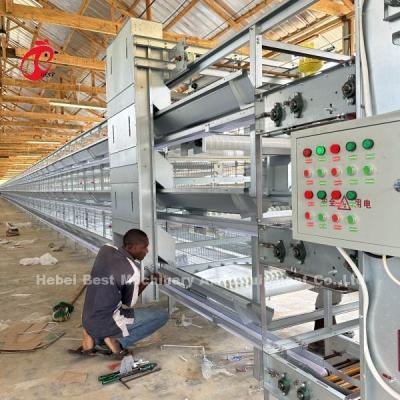 China Automated Poultry Layer Cage With Feeder And Adjustable Nipple Drinker System for sale